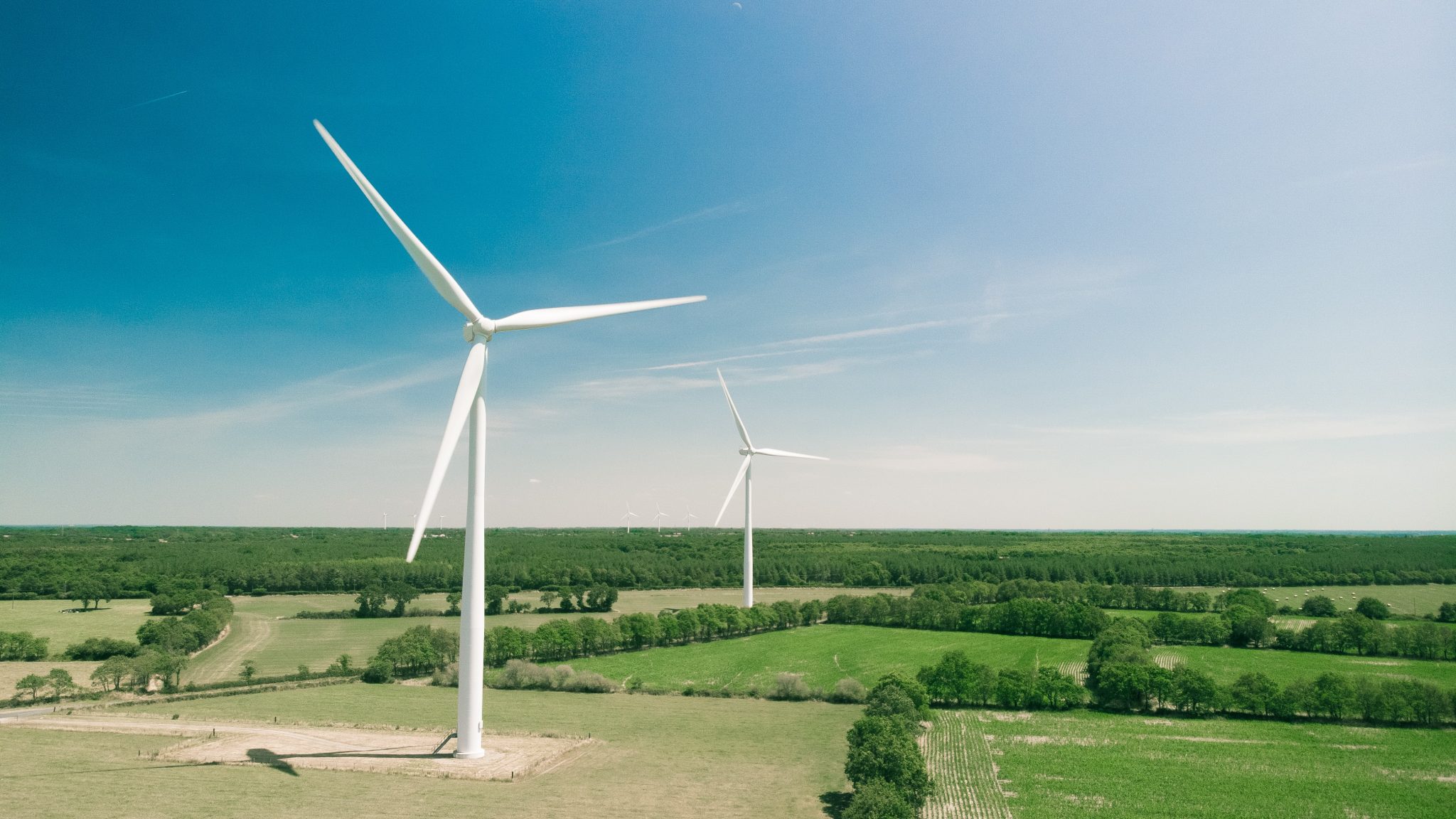 Energy Assistance
